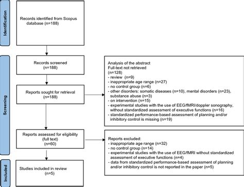 Flowchart Detailing The Literature Search According To PRISMA