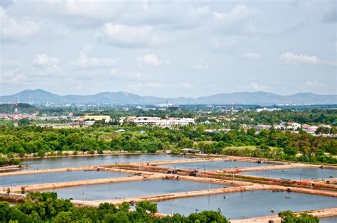 Lumar Orient Oriental Food Products Luiten Food