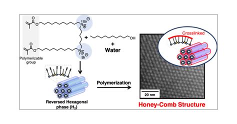 Phase Behavior And Polymerization Of The Ternary Polymerizable Cationic