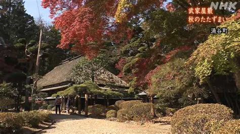 涌谷町 佐々木家屋敷庭園の紅葉見ごろ 17日まで公開NHK 宮城のニュース