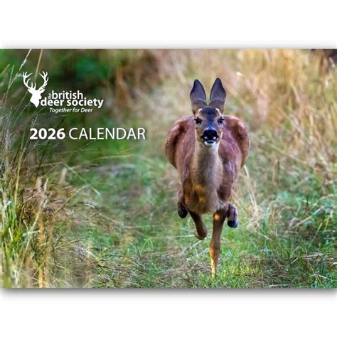 Lyme Disease And Ticks The British Deer Society