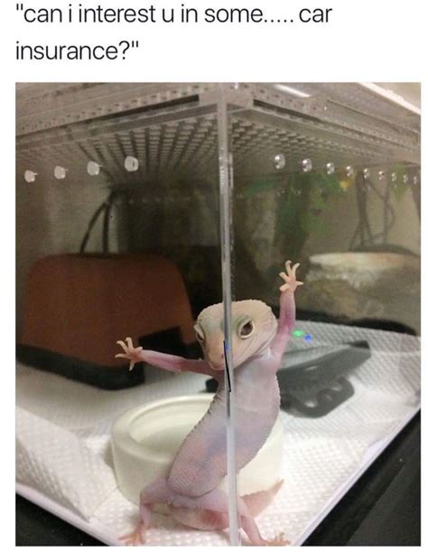 Sexy Meme By Chrisaguilar361 Memedroid