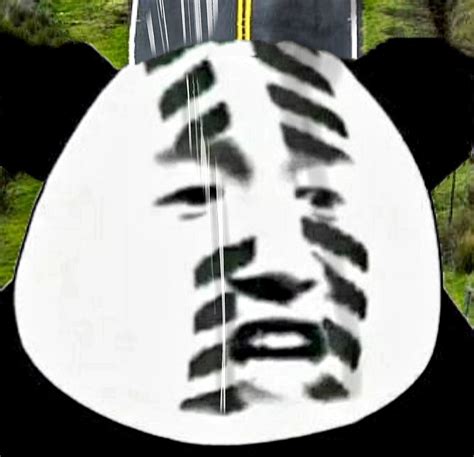 20張超好笑【熊貓人車壓痕】梗圖！快來看看網友們的搞笑創作！
