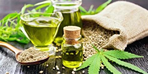 Aceite De Cannabis Características Usos Propiedades Cannabis