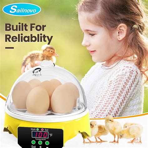 Buy Sailnovo Incubators For Hatching Eggs Incubators Egg Incubator For Chicken With
