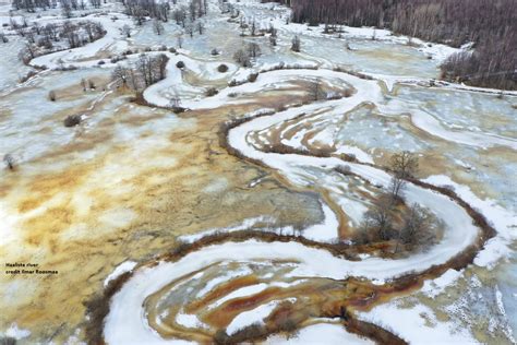 Ccb Summary Annual Report 2022 Development And Capacity Building