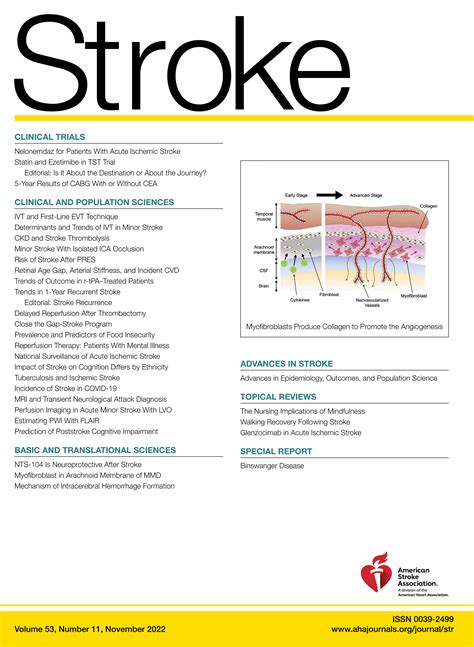 Advances In Epidemiology Outcomes And Population Science Stroke