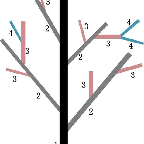 weibull coding of apple tree branch download scientific diagram