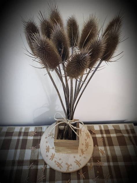 Teasel Stalks Thistle Stalks Wild Teasel Stems Natural Thistle Dried Flowers Spring Decor