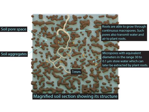 Soil Structure In The Field Oz Soils 4 Soil Structure In The Field Oz Soils 4