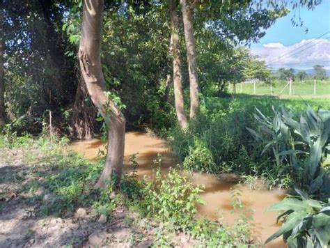 ขายที่ดินบ้านเชิงดอยดอยสะเก็ตวิวดอยติดลำธารน้ำไหลโฉนด ที่ดินร้อยแปด คอม