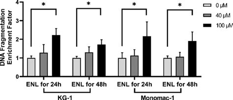 Dna Fragmentation Enrichment Factor In Kg 1 And Monomac 1 Cells After Download Scientific