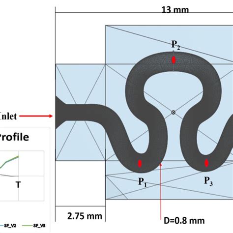 Schematic Diagram Of The Proposed Serpentine Model Three Different