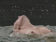 Simona Krainova Nude Pics Videos Sex Tape