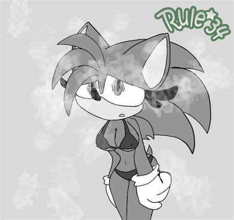 Rule 34 1girls Crazysuilesty Female Female Only Mobian Species Solo