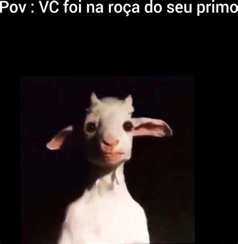Pov Vc Foi Na Roça Do Seu Primo Ifunny Brazil