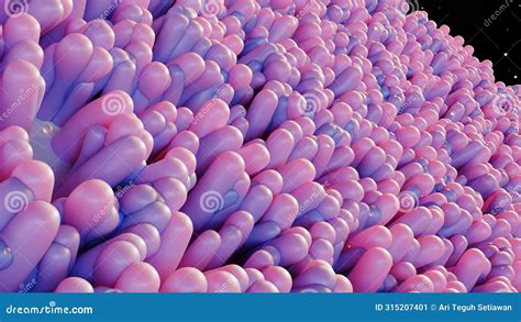 3d Rendering Of The Intestinal Epithelium Cells Stock Illustration Illustration Of Biological