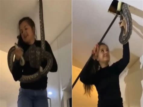 માળિયામાં સંતાયેલો હતો અજગર મહિલાએ ગભરાયા વિના પકડીને કાઢ્યો બહાર Gujarati News Python Was