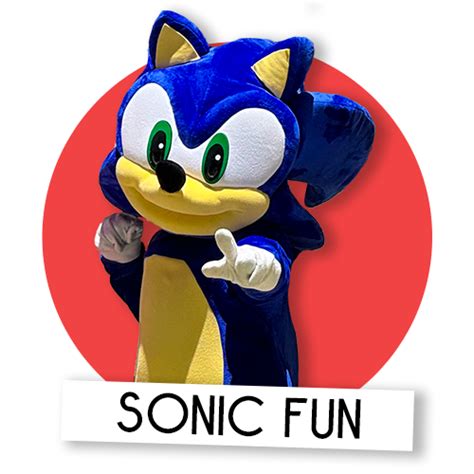 Sonic Fun My Party Zebra