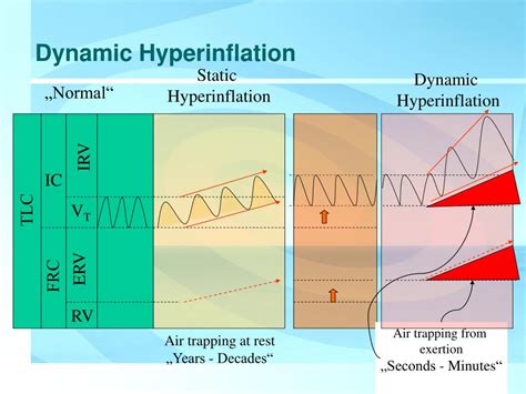 Ppt Exercise Prescription For Copd And Asthma Powerpoint Presentation