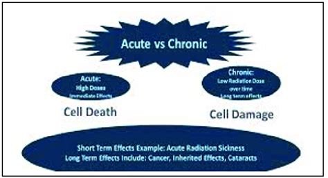A Comparison Of Acute Toxicity With Chronic Toxicity Download