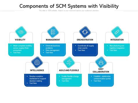 Components Of Scm Systems With Visibility Ppt Powerpoint Presentation Summary Example File Pdf