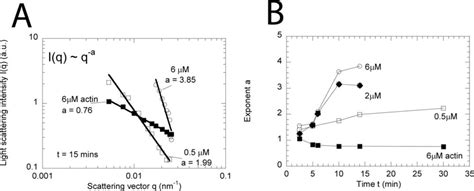 Mreb Filament Ultrastructure In Solution As Probed By Time Resolved
