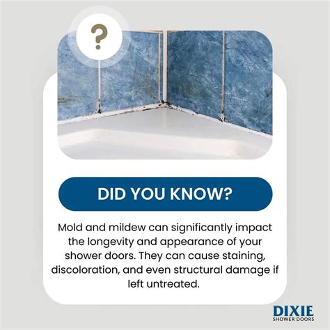 Dixie Shower Doors In Orlando Dixieshowerdoor • Instagram Photos And