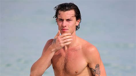 Shawn Mendes Flaunts Chiseled Abs On The Beach — Photos Hollywood Life