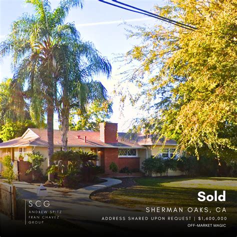 🎉 Off Market Magic Andrew Spitz