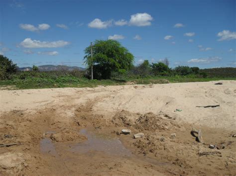 Blog No Sertão Da Paraíba Sítio Em Cacimba De Areia