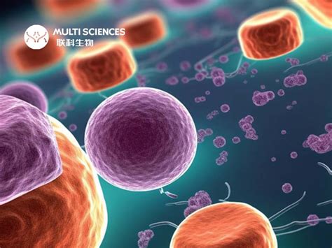 联科生物 Elisa试剂盒 流式抗体 细胞凋亡、周期、 Th1 Th2 Treg检测 Ivd 联科生物