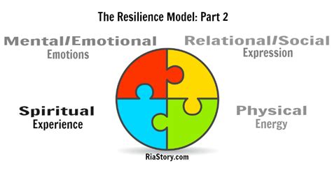 The Resilience Model Part 2 Experience Ria Story Leadership Speaker