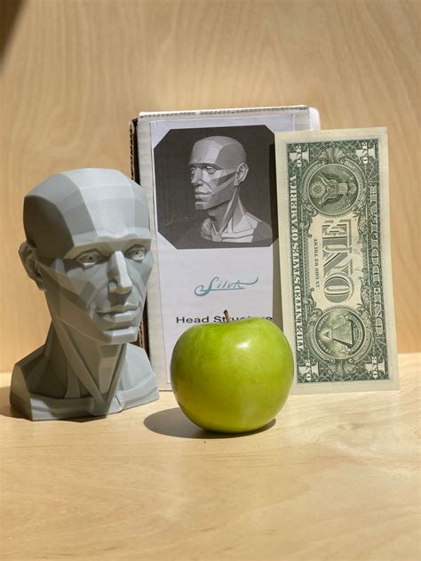 Head Structure V2 0 Etsy