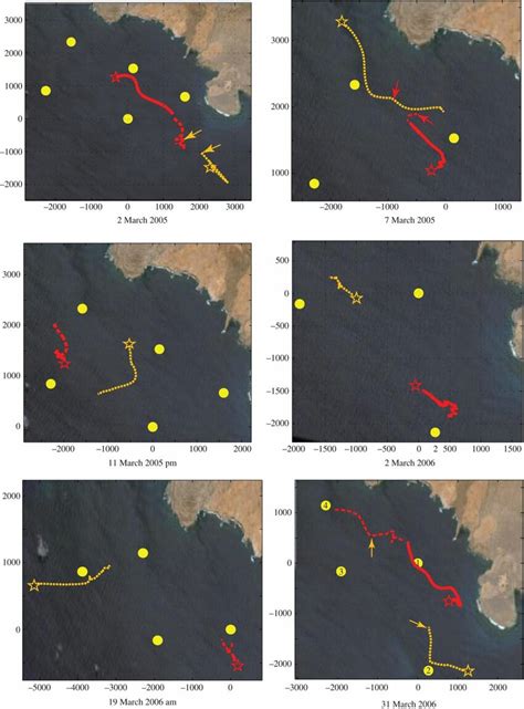 Six Examples Of Interpolated Tracks Of Singer Movements Generated From Download Scientific