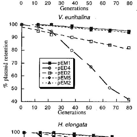 Plasmid Stability Of Constructions Containing Different Pcm1 Fragments