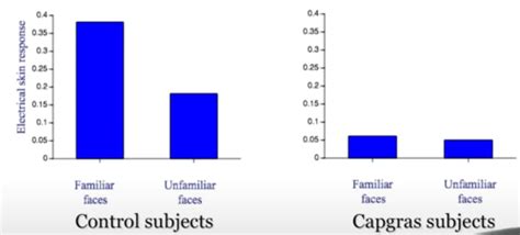 Cogs1010 Week 9 Flashcards Quizlet
