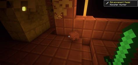 Shulker Drops Two For Minecraft 1 15 2