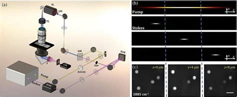 Enhanced 3d Chemical Imaging With Phase Modulation Lifeboat News The Blog