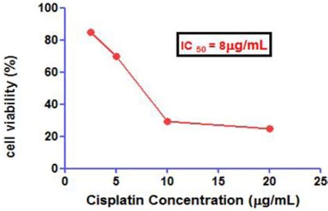 Antioxidant And Nephroprotective Activities Of The Extract And