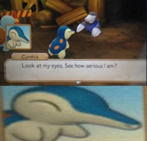 Cyndaquil Is So Serious Rpokemonmemes