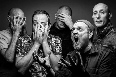 Echolocation Songs Events And Music Stats