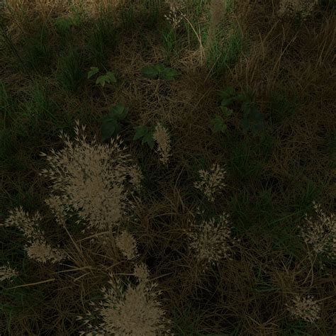 Dry Bent Grass Meadow Patch 3d Model 20 Blend Fbx Obj Free3d