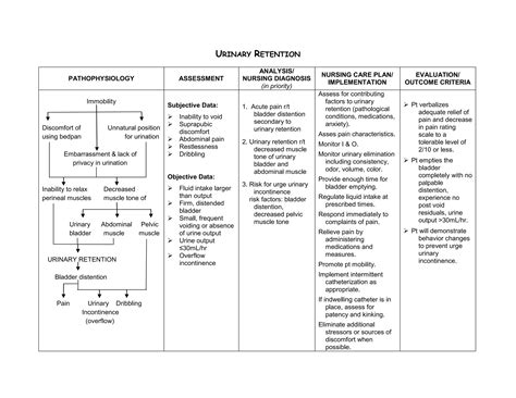 Urinary Retention Ppt