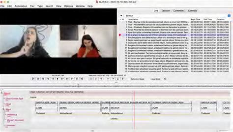 15 Template Used To Annotate Modal Flavors Production Task Download