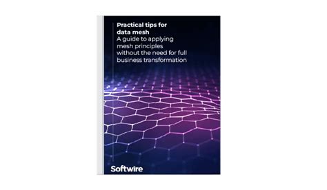 What Actually Is Data Mesh Softwire