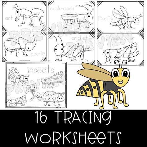 Insects Tracing Worksheets Fine Motor Activity Insect Tracing