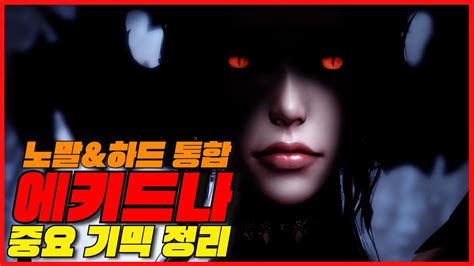 카제로스 레이드 에키드나 2관문 중요 기믹 정리 Youtube