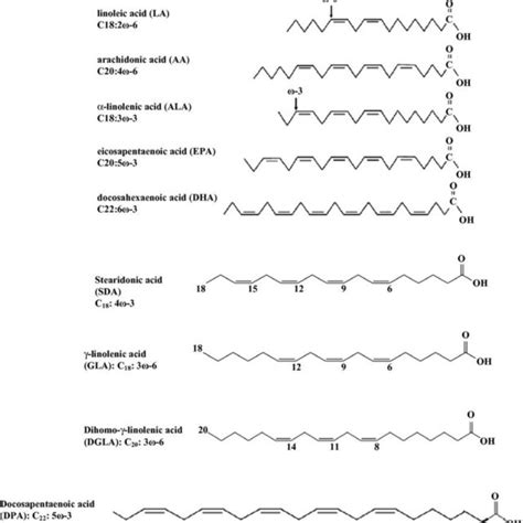 Several Structure Of Polyunsaturated Fatty Acids Download Scientific