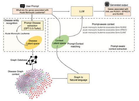 202503 论文研读 Biomedical Knowledge Graph Optimized Prompt Generation For Large Language Models
